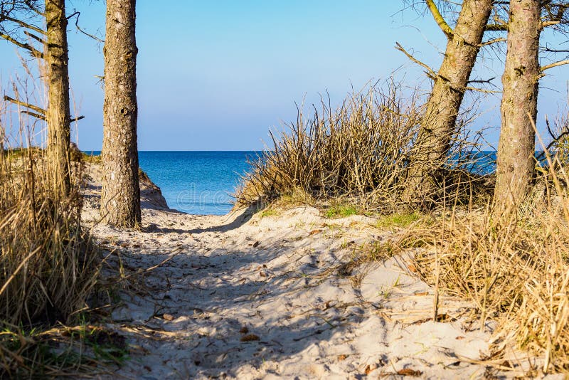Baltic Sea Coast in Graal Mueritz, Germany Stock Image - Image of beach ...