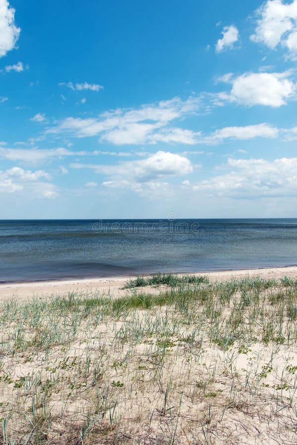 Baltic sea coast. stock photo. Image of coast, wind, plant - 54973104