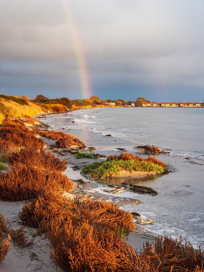 Baltic Sea Coast on the Island Moen in Denmark Stock Photo - Image of ...