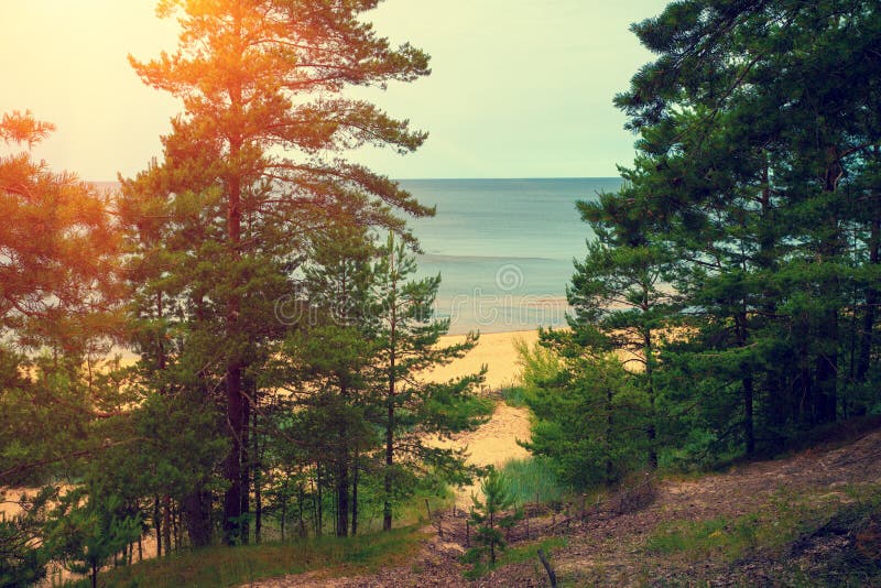 Baltic sea coast stock photo. Image of ocean, beach, magical - 78003978