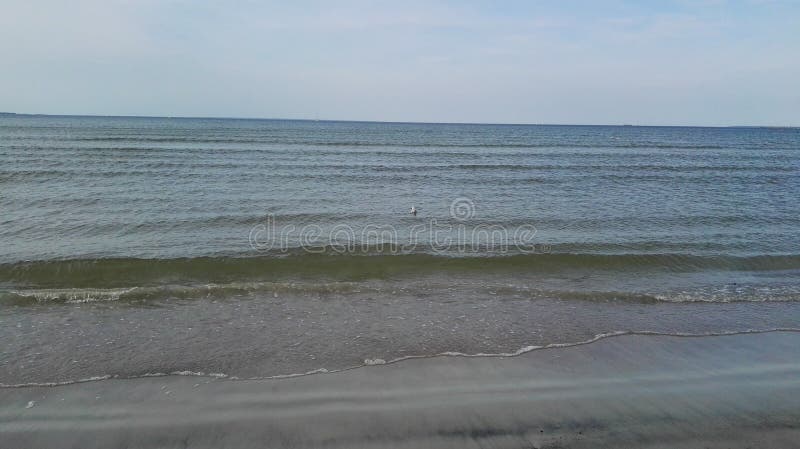 Pirita beach, Tallinn stock image. Image of water, cape - 205329451