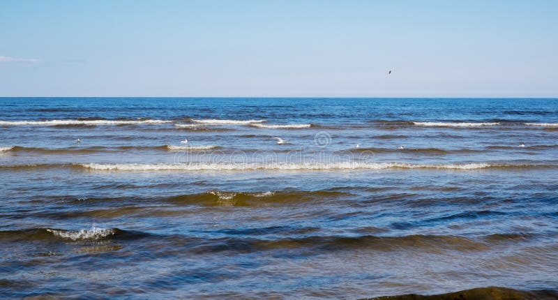 Baltic sea landscape stock photo. Image of leisure, destinations - 61387214