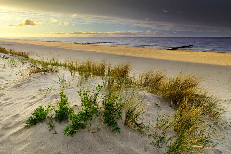 Baltic Sea on the Polish Coast Stock Image - Image of summer, ocean ...