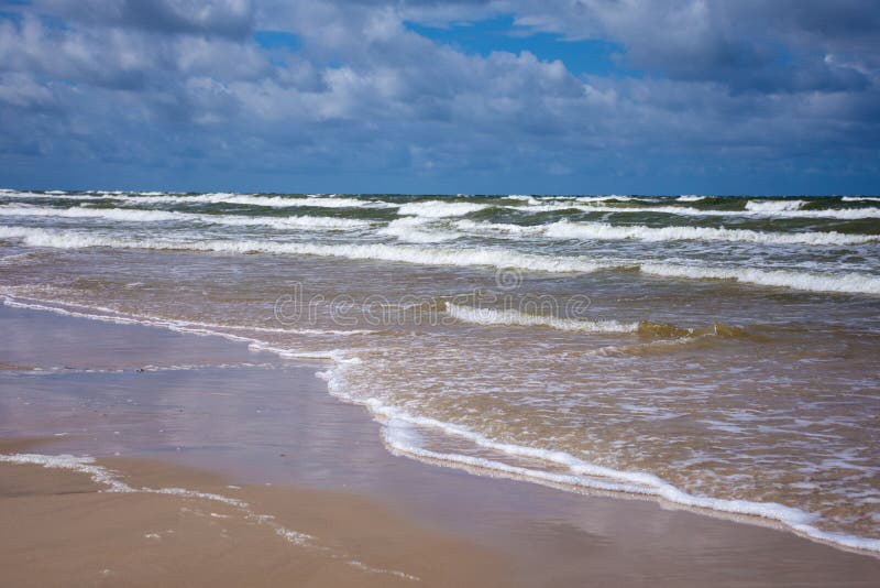 Baltic sea shore in Latvia stock photo. Image of seashore - 95549198