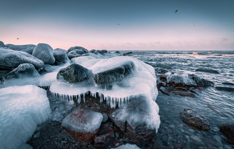 Baltic Sea in winter stock photo. Image of cold, kaliningrad - 84309480