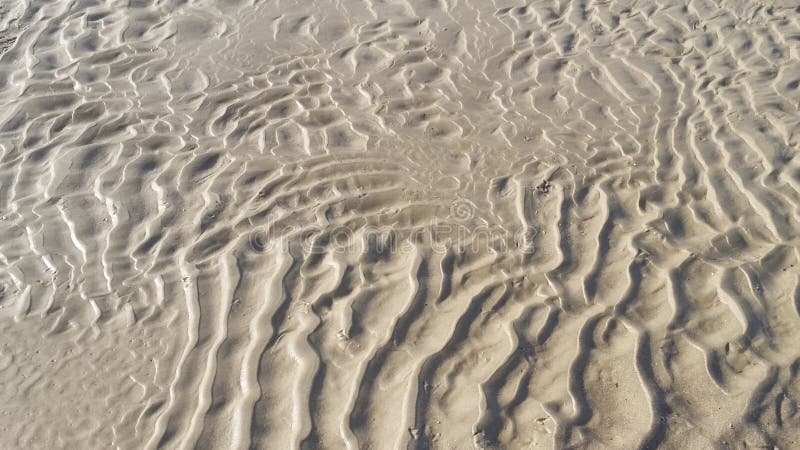 Natural Sandy Trace stock image. Image of strand, island - 175169367