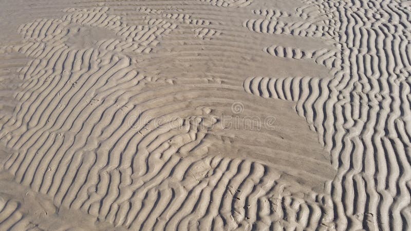 Seaside and Sand Trace stock photo. Image of brown, baltic - 175303888