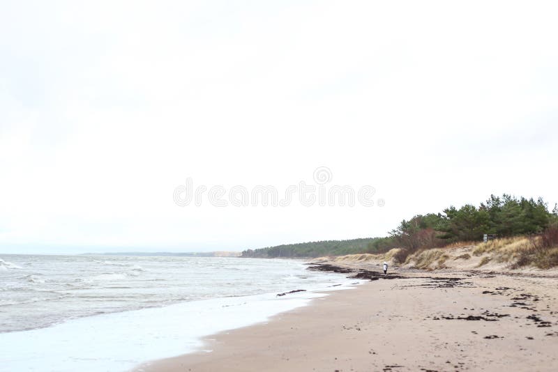 Baltic Seaside View of Baltic Sea Stock Photo - Image of nature ...