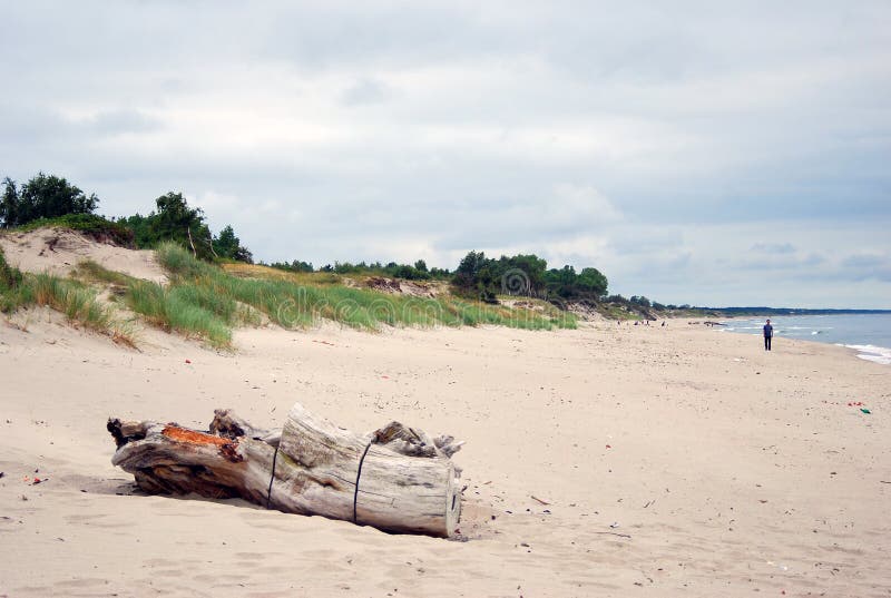 Baltic Spit Sirene Nature Scenery Stock Photo - Image of walk ...