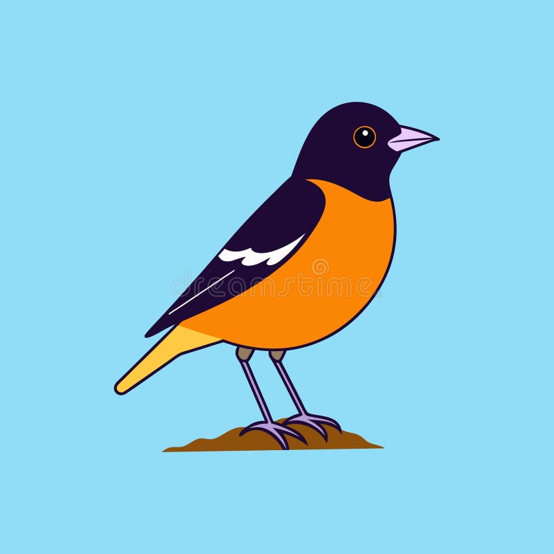 Baltimore Oriol Bird Vector Artwork Stock Vector - Illustration of ...