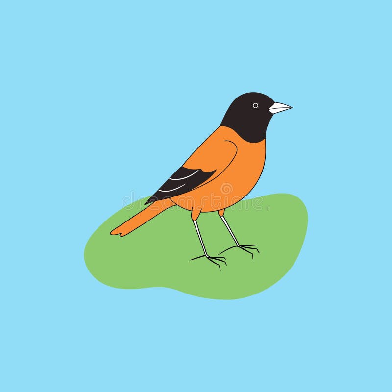 Baltimore Oriol Bird Vector Artwork Stock Illustration - Illustration ...