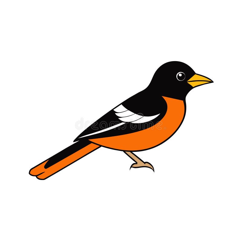 Baltimore Oriole Bird Knocks Icon Vector Illustration Stock Vector ...