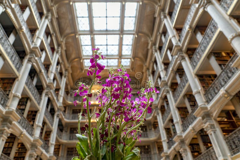 Baltimore Public Library Unusual View Stock Image - Image of ...