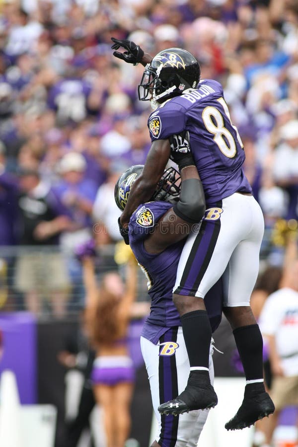 Ravens Fullback Stock Photos - Free & Royalty-Free Stock Photos from ...