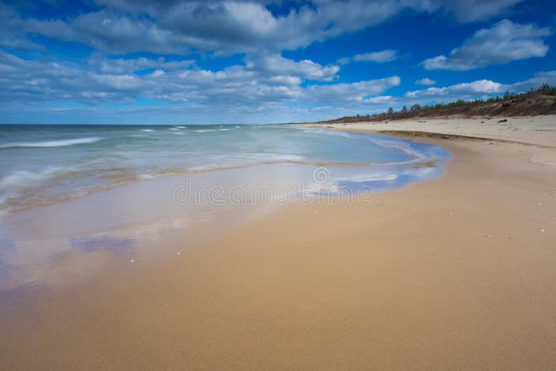 Baltisk kust fotografering för bildbyråer. Bild av kust - 53281053