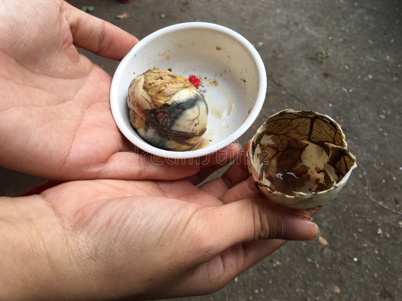 Balut (fertilized Duck Egg) Stock Photo - Image of dish, vietnam: 73825994
