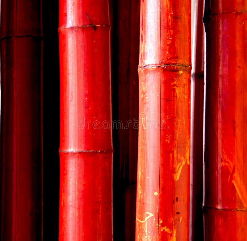 Bambú rojo imagen de archivo. Imagen de japonés, palillo - 28298099