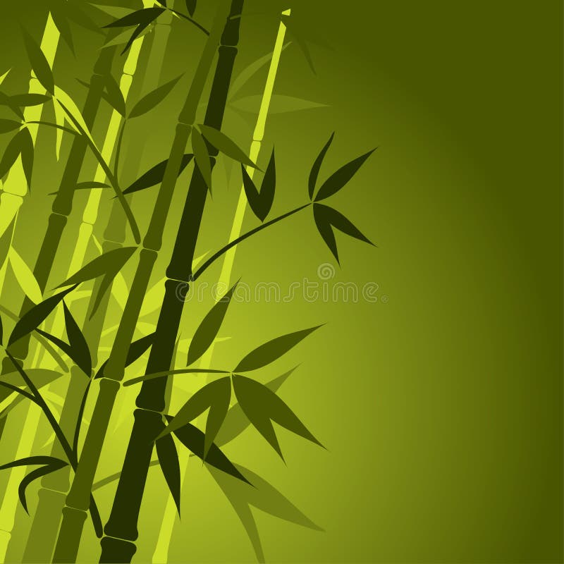 Bambú, vector ilustración del vector. Ilustración de chino - 6048457