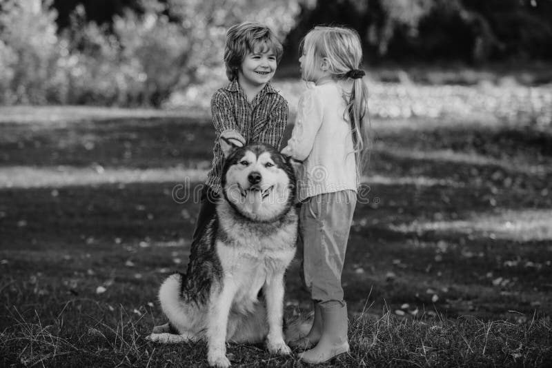 Bambini Divertenti Fratello E Sorella E Cane Insieme a Park. Bambino Di ... Bambini Divertenti Fratello E Sorella E Cane Insieme a Park. Bambino Di ...