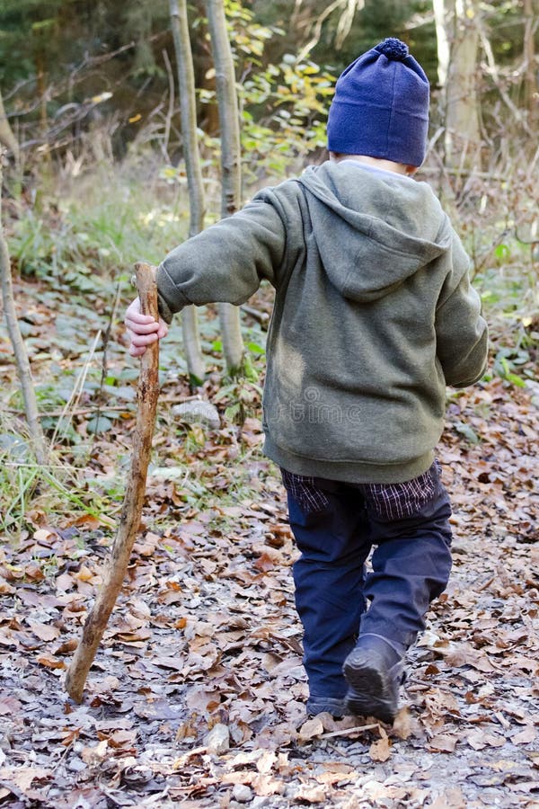 Bambino Con Il Bastone in Foresta Fotografia Stock - Immagine di ...