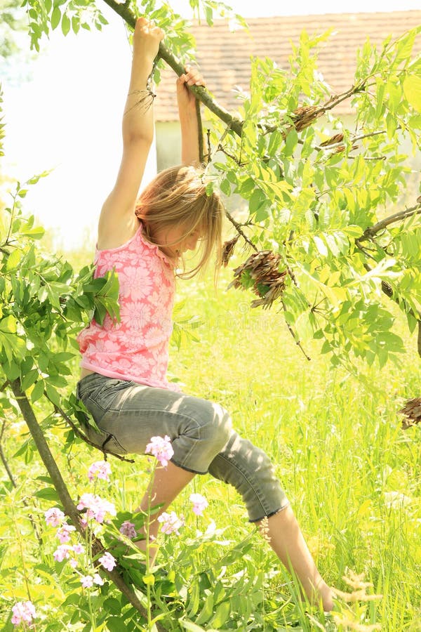 Bambino - Ragazza Che Appende Sul Ramo Immagine Stock - Immagine di ...