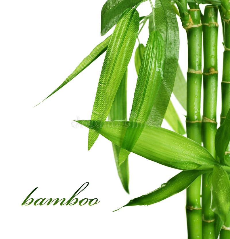 De Japanse Fontein Van Het Bamboe Stock Foto - Image of kyoto, buiten ...