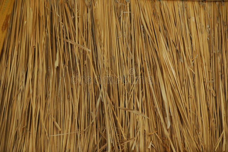 Bamboo stock image. Image of abstract, japanese, twig - 11250397