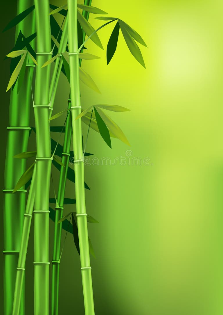 Bamboo Shoots Drawing Stock Illustrations – 95 Bamboo Shoots Drawing ...