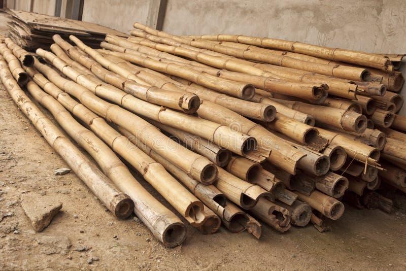Bamboo stock photo. Image of ghana, bamboo, dried, construction - 26002766