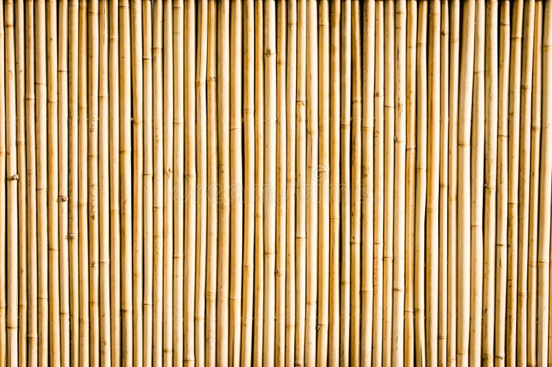 Bamboo stock photo. Image of horizontal, organic, brown - 29271386