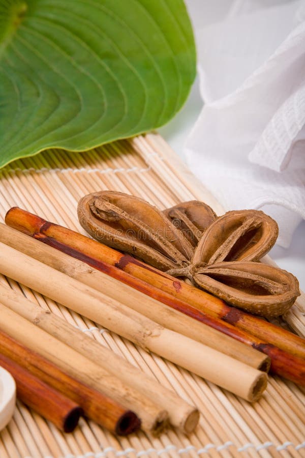 5,194 Bamboo Shell Stock Photos - Free & Royalty-Free Stock Photos from ...