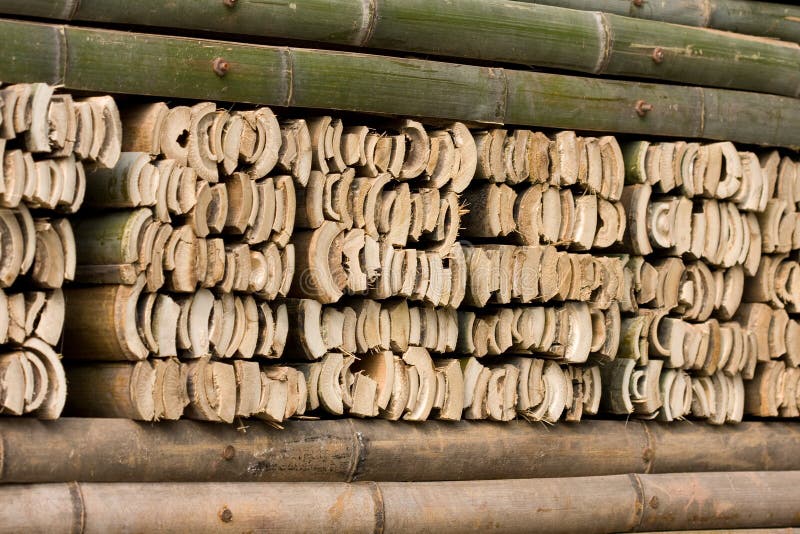Bamboo stock photo. Image of bamboo, shape, circular, pattern - 7513026