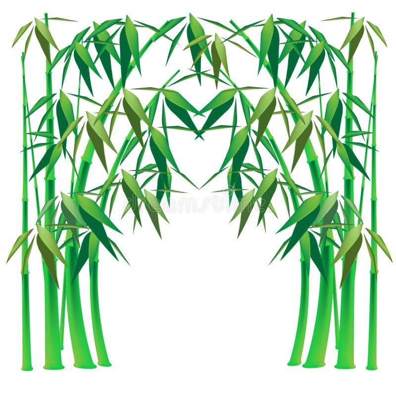 Bamboo Graphic Stock Illustrations – 38,579 Bamboo Graphic Stock ...