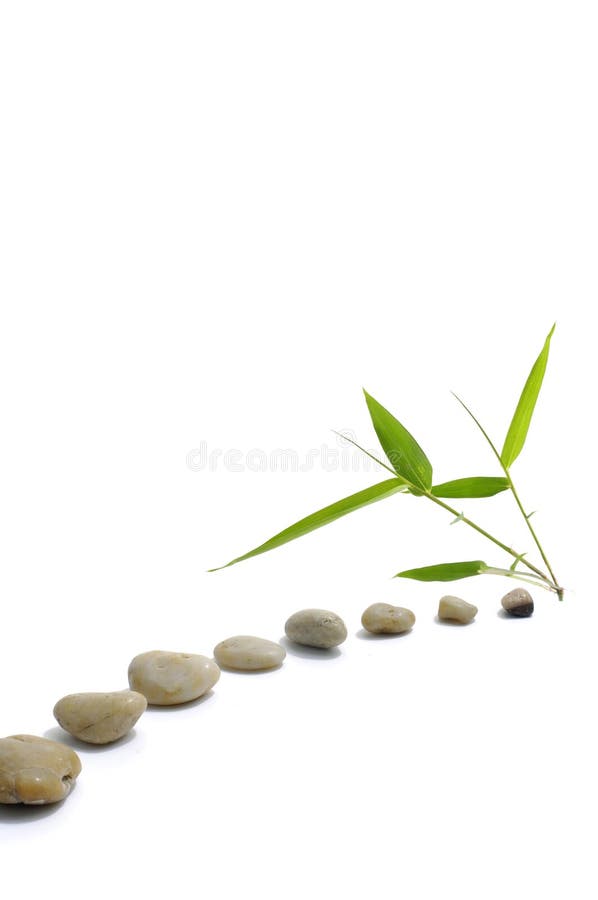Bamboo stock image. Image of asian, meditation, rock, pebble - 7733427