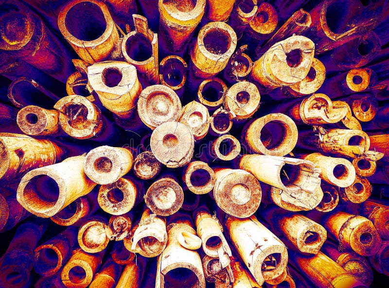 Bamboo Abstract, Bamboo Background Contrast Stock Photo - Image of ...