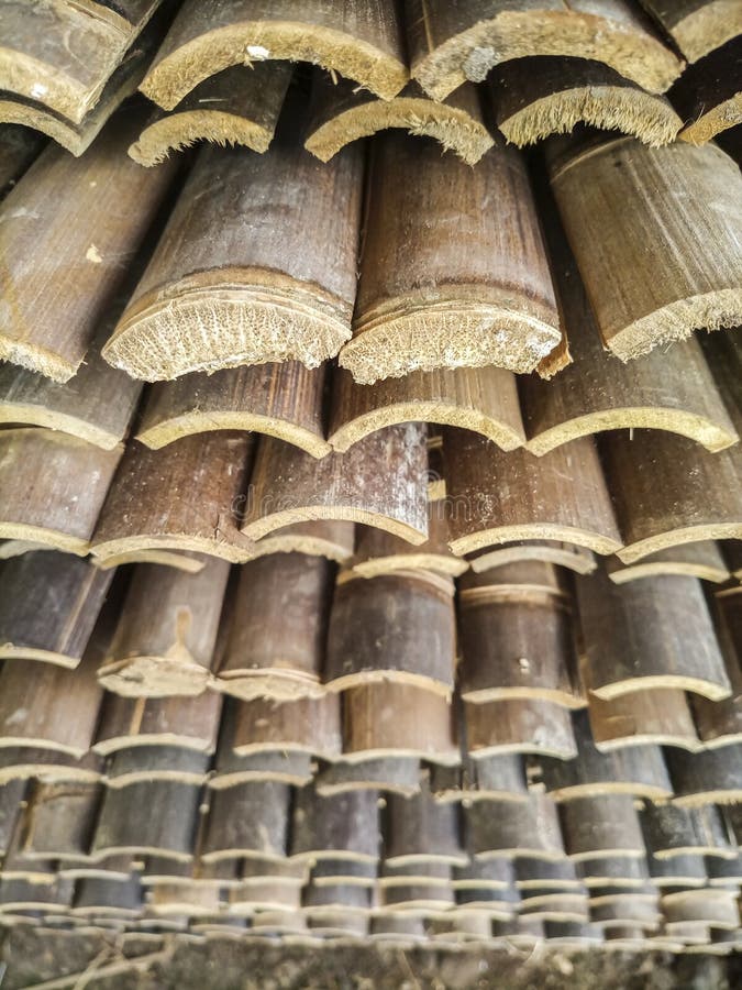 Bamboo As a Constructive or Decorative Element, Stock Photo - Image of ...