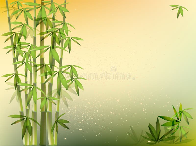 Bamboo background stock vector. Illustration of flora - 12288953