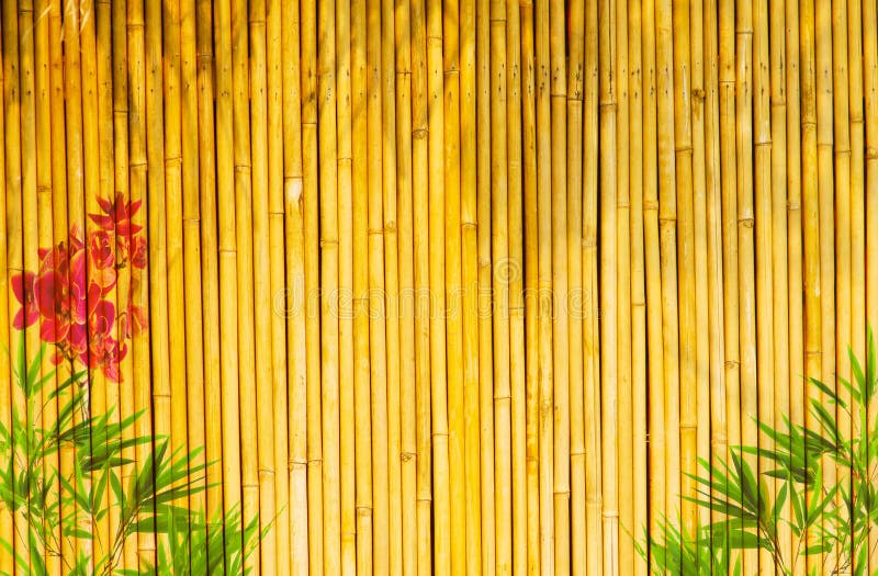 Bamboo Background stock photo. Image of cool, floral - 13498478