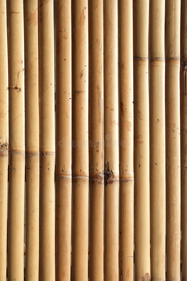 Bamboo Background Picture. Image: 17320796