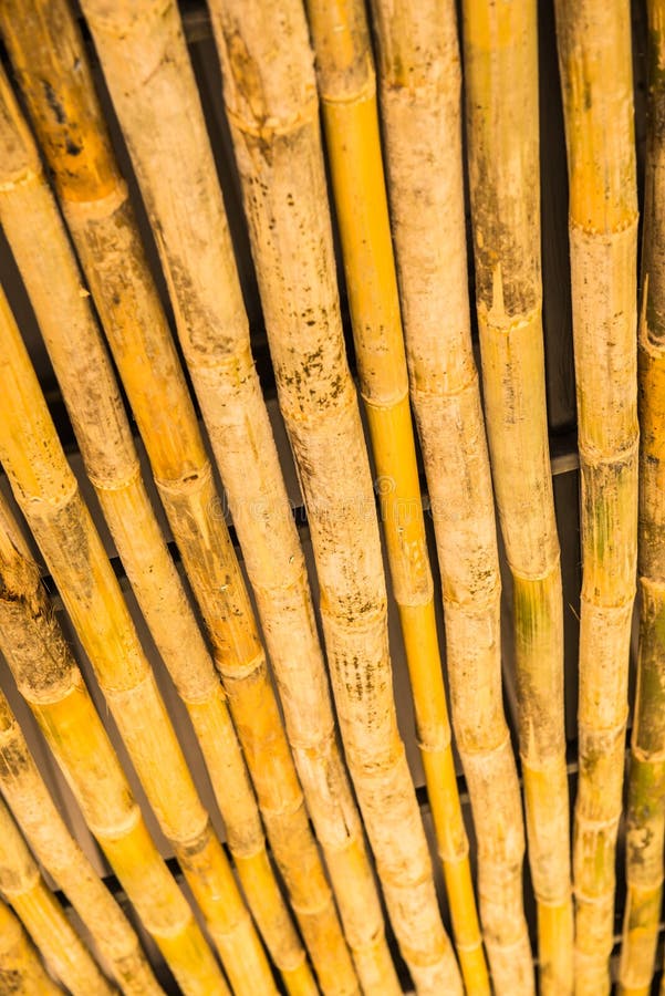 Bamboo rods for decoration stock image. Image of pattern - 251840327