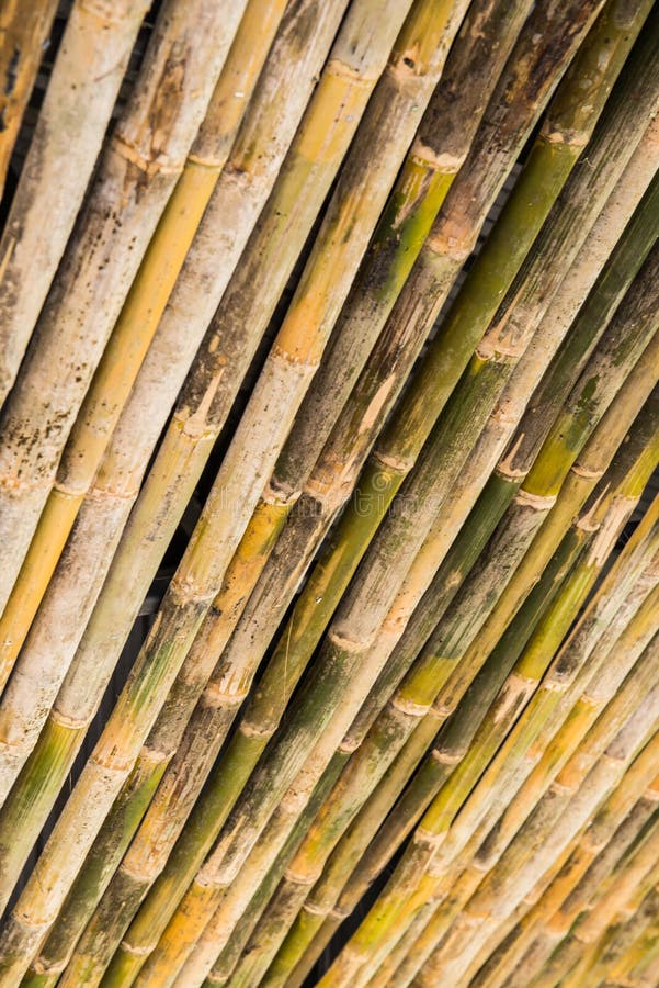 Bamboo rods for decoration stock image. Image of round - 251840371