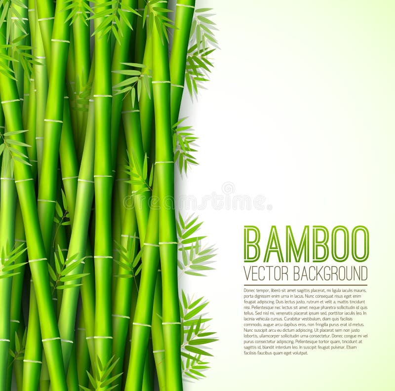 Bamboo Background Concept. Vector Illustration Stock Vector ...