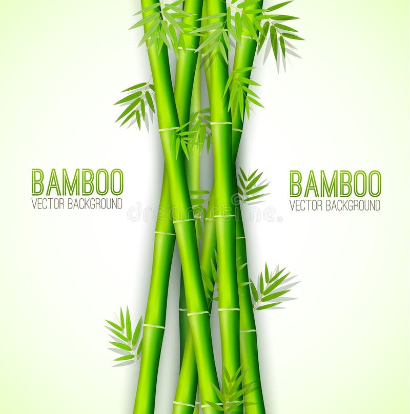 Bamboo Background Concept. Vector Illustration Stock Vector ...