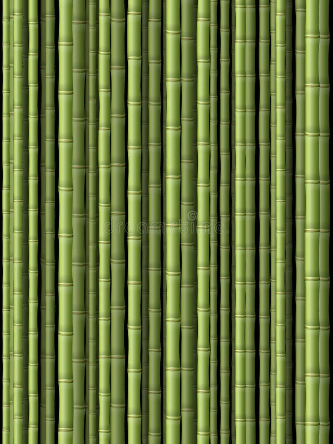 Bamboo background stock vector. Illustration of green - 277875896
