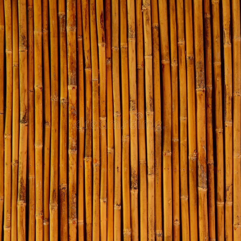 Close up of bamboo wall stock photo. Image of natural - 16235494