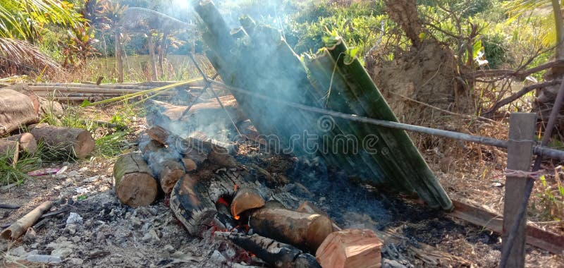 Bamboo stock image. Image of wood, bamboo, smoke, fire - 144271581