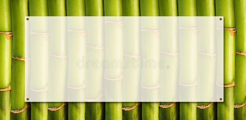 Bamboo banner stock photo. Image of chinese, bunch, gardening - 18618386