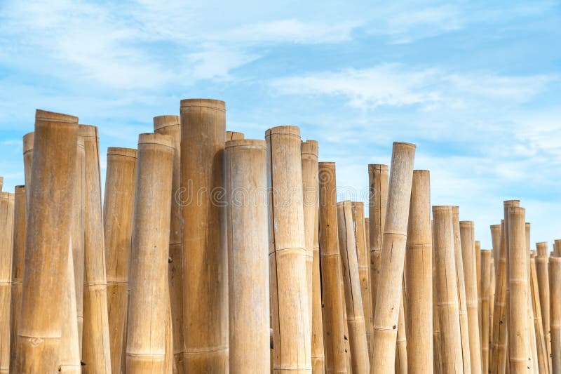 Bamboo barrier stock image. Image of landscape, material - 29482259
