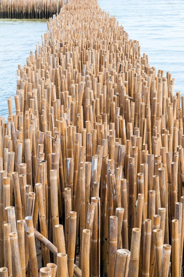 Bamboo barrier stock image. Image of landscape, material - 29482259