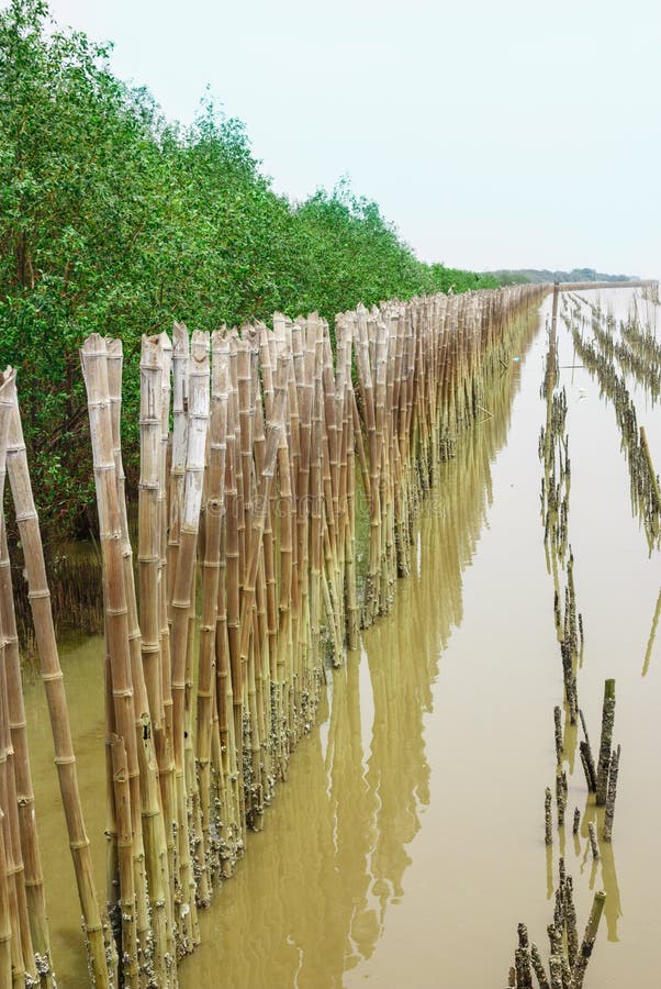 Bamboo barrier stock photo. Image of element, board, panel - 30933246